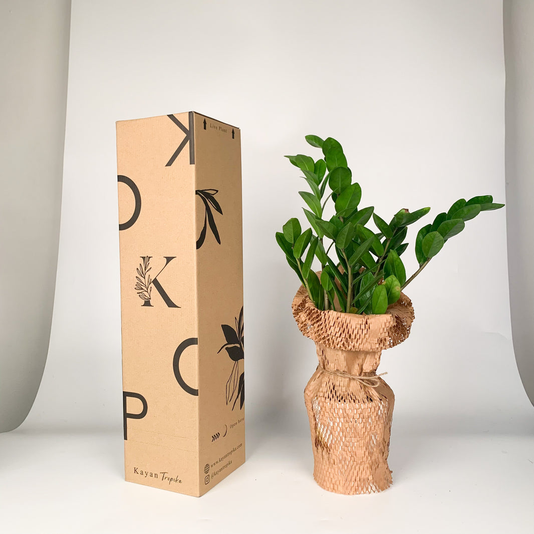 Kyla Pink (Sunflower) Bouquet – kayantropika